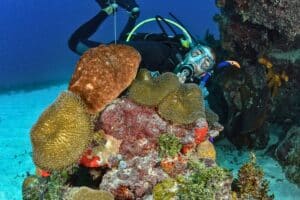 Boyle’s Law Scuba Diving: An Advanced Divers’ Secret