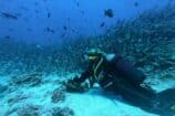 Boyle’s Law Scuba Diving: An Advanced Divers’ Secret