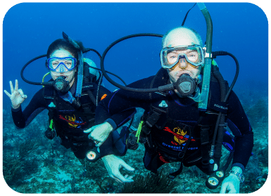 Quality DIVING & SNORKELING with Dressel Divers