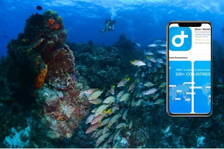 Diving Apps | Ranked by Usefulness for Divers