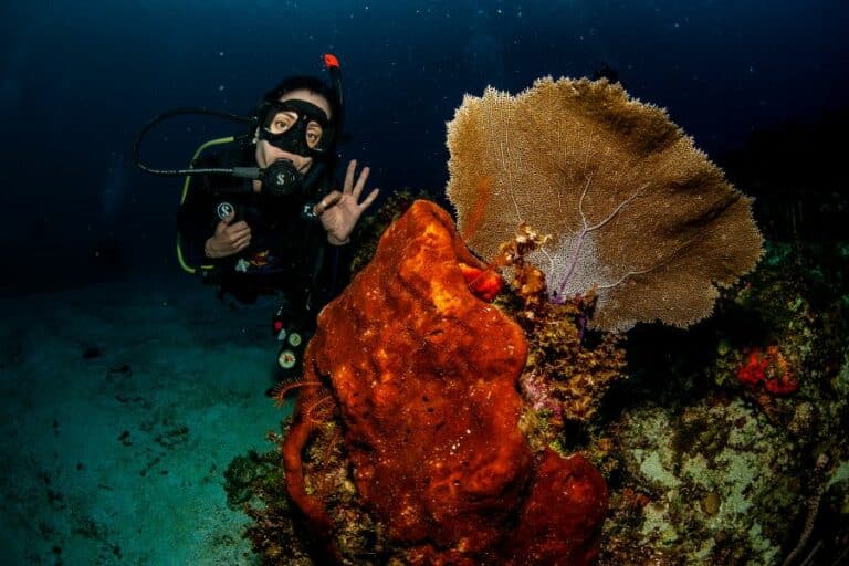 Deep Water Diving: Your Ultimate Guide to the Deepest Adventures