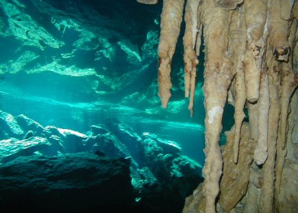 What Are The Differences Between A Halocline And A Thermocline?