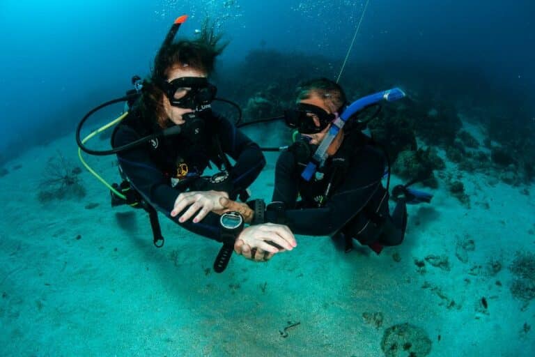 Dive Planning Tips for Novice Explorers | Dressel Divers