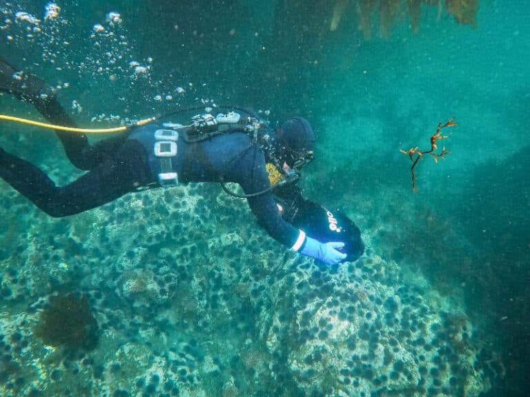Diver Propulsion Vehicle or How to Move Faster While Diving