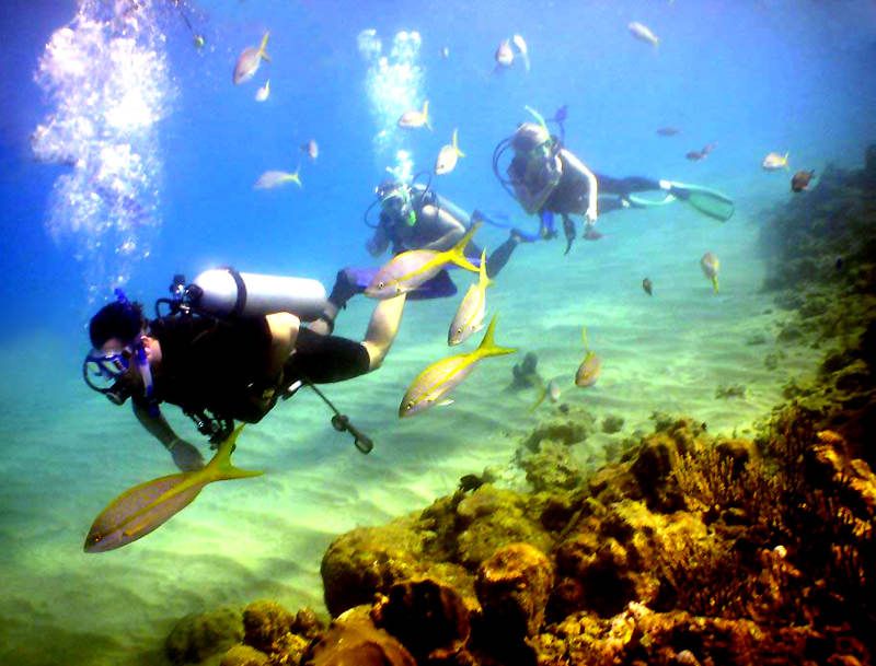 DIVERS DAY Excursion with Dressel Divers