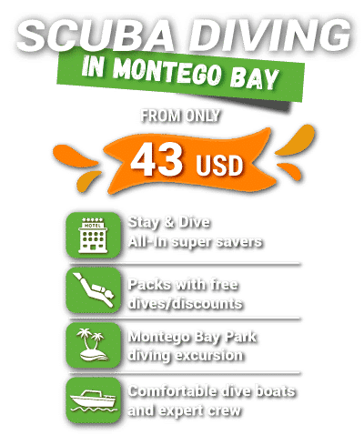 30 Years of PADI Scuba diving in Montego Bay with Dressel