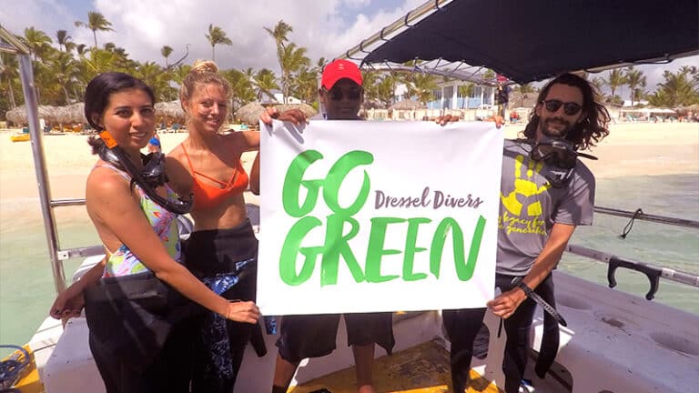 Eco-Dive Center | How to Recognize Them?