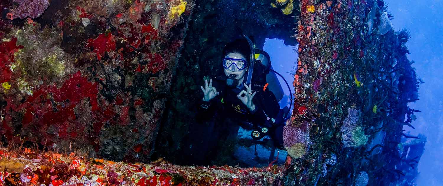 Quality DIVING & SNORKELING with Dressel Divers