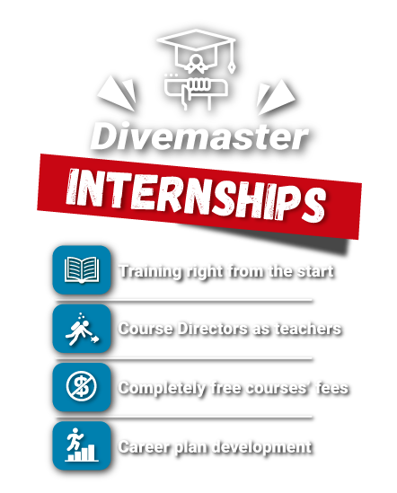 FREE DIVEMASTER INTERNSHIP with Dressel Divers