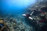 Freediving Breathing Techniques or How to Increase Lung Capacity