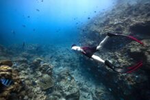 Freediving Breathing Techniques or How to Increase Lung Capacity