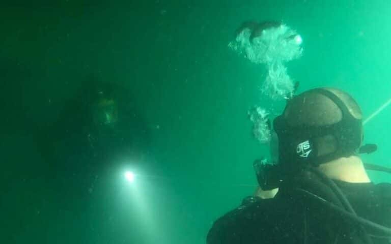 Low Visibility Diving Without Getting Flustered | Dressel Divers