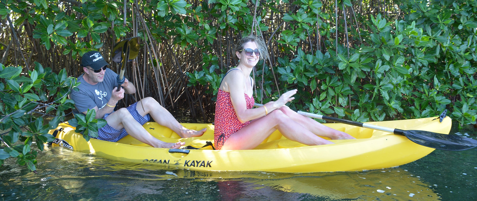 MANGROVE Kayaking Excursion with Dressel Divers