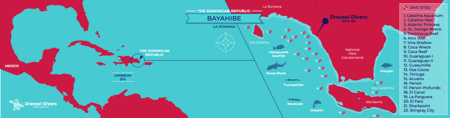 Bucear en BAYAHIBE y LA ROMANA con Dressel Divers