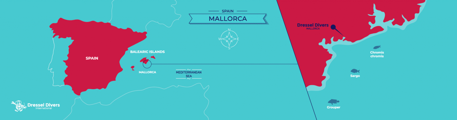 Scuba diving in MAJORCA with Dressel Divers