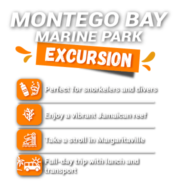 MONTEGO BAY MARINE PARK Excursion, Dressel Divers
