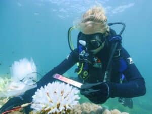 Marine Biology Diving: Collaborative Research
