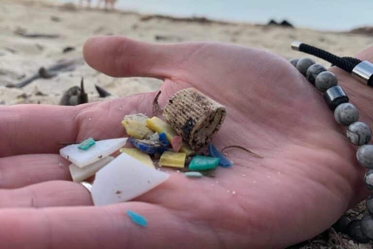 The Impact of Microplastics in the Ocean | Dressel Divers