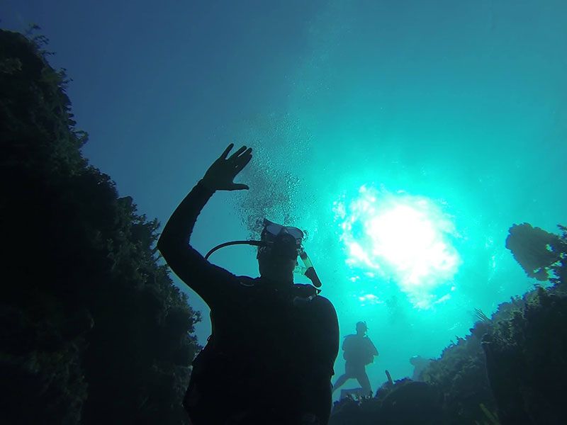 Scuba diving in MONTEGO BAY with Dressel Divers