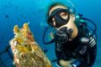 Nitrogen Narcosis: Symptoms, Causes, and Prevention in Diving