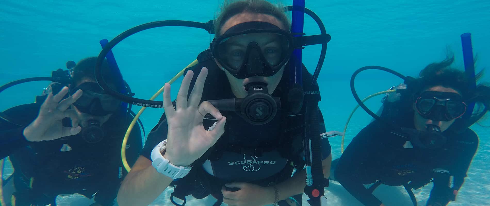 Begginers PADI Scuba Diving Courses with Dressel Divers