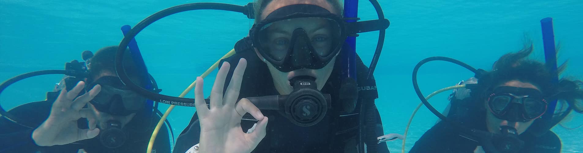 Begginers PADI Scuba Diving Courses with Dressel Divers