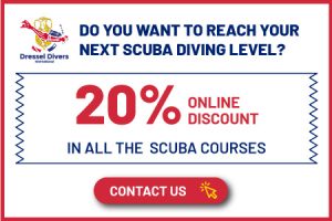 12 Scuba Diving Certification Levels From Beginners To Professional