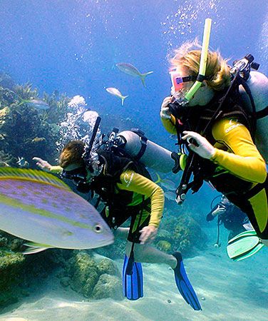 Scuba diving in PUNTA CANA with Dressel Divers
