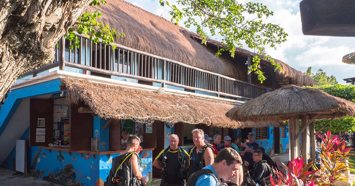 Best Scuba Dive Shops Near Me in the Mayan Riviera and Cozumel