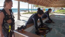 What Are the Bends in Scuba Diving? Causes & Prevention Guide