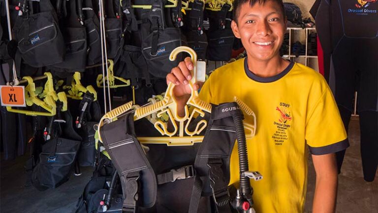 The Ultimate Guide to Finding the Best Scuba Diving BCD