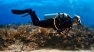 12 SDI Courses from Starters to Professionals | Dressel Divers