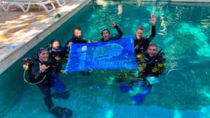 12 SDI Courses from Starters to Professionals | Dressel Divers