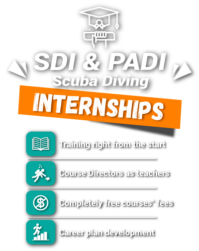 FREE Scuba Diving Internships With Dressel Divers