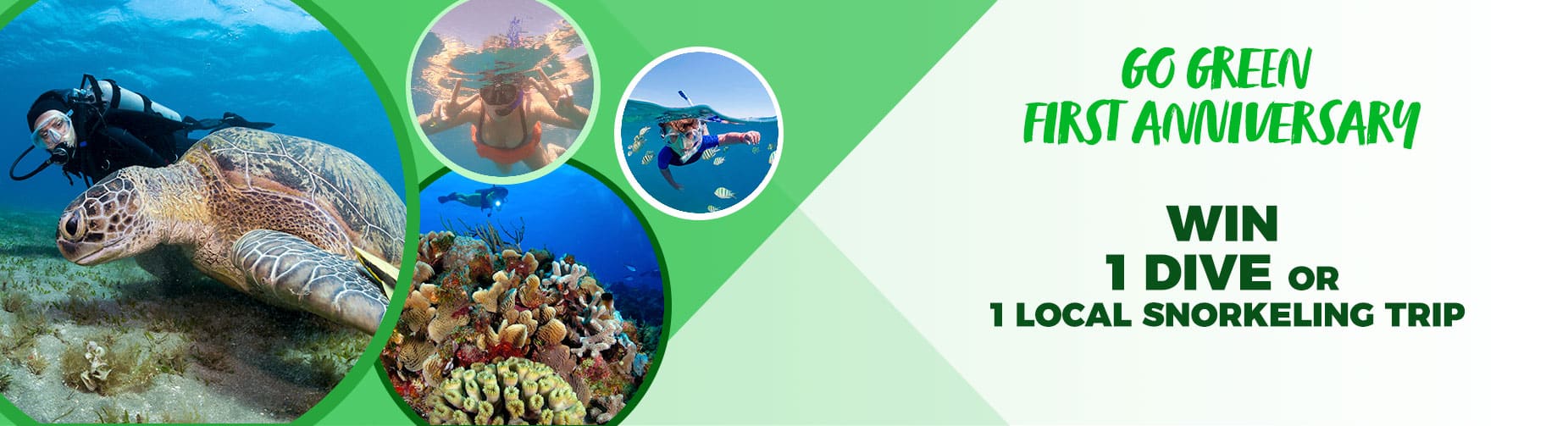 Go Green First Anniversary Contest