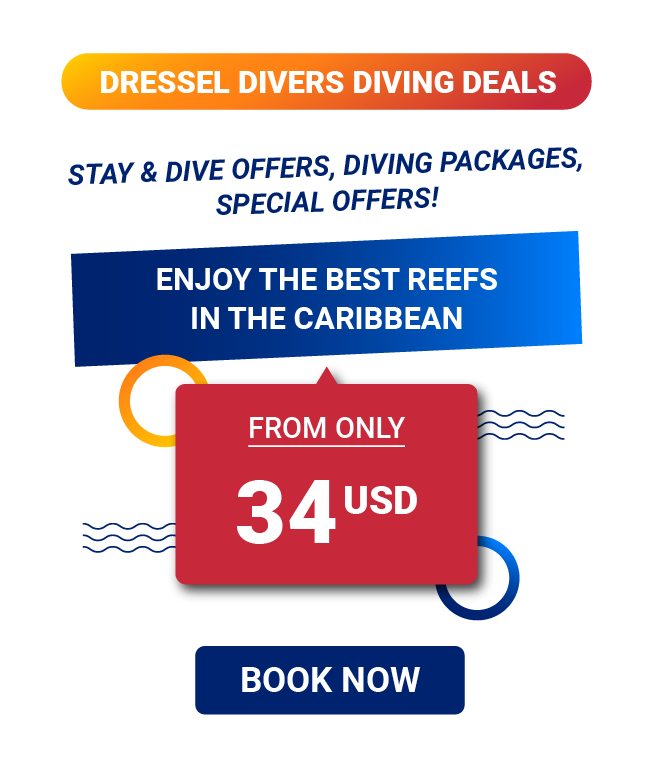 Diving Deals | Dressel Divers, Top Notch Scuba Diving