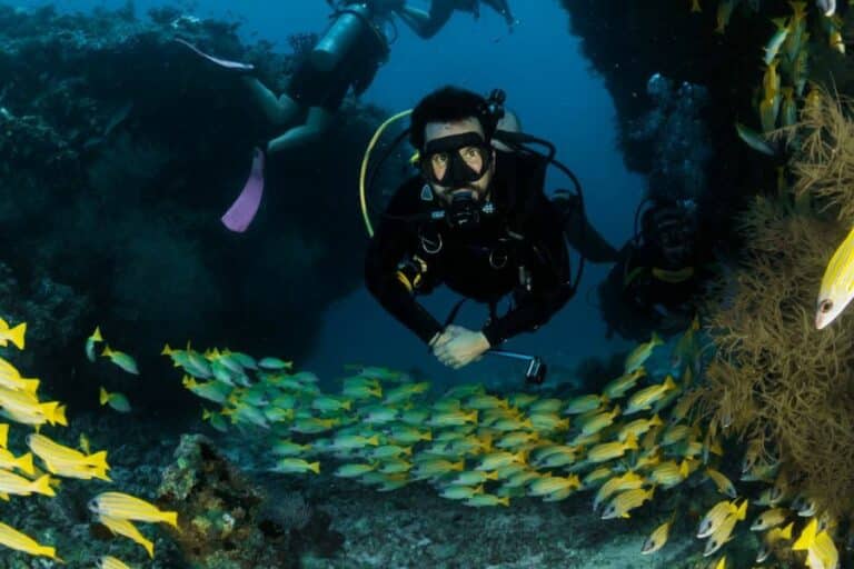 Bancos de Peces | Curiosidades y nombres de los bancos