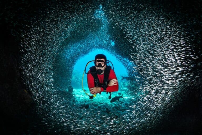 Bancos de Peces | Curiosidades y nombres de los bancos