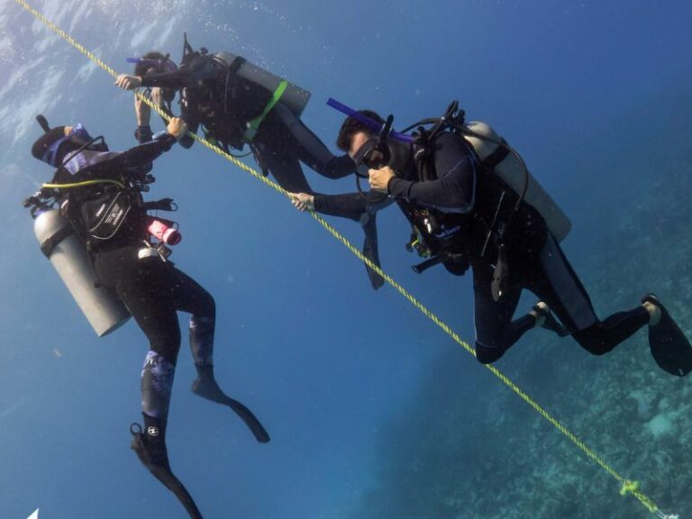 Scuba Diving Etiquette The Complete Guide To Diving Right 3150