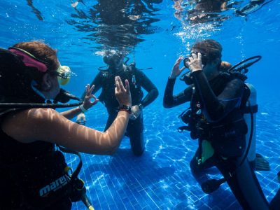 Scuba Diving Requirements. Everything You Need to Become A Diver