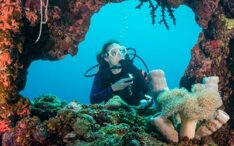 Scuba Diving in MEXICO with Dressel Divers - 20% Online Discount