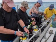 Setting Up Scuba Gear: Step-by-Step Guide