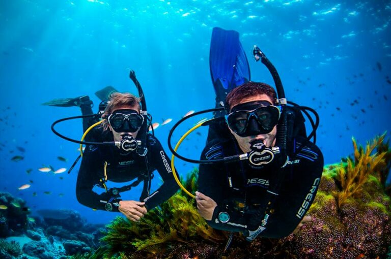 7 Underwater Navigation Tips To Dive As An Expert | Dressel Divers