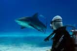 10 Benefits of Scuba Diving for Health and Spirit