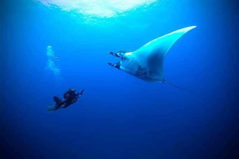 10 Benefits of Scuba Diving for Health and Spirit