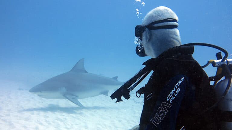 15 Jaw-dropping Bull Sharks Facts You Didn't Know