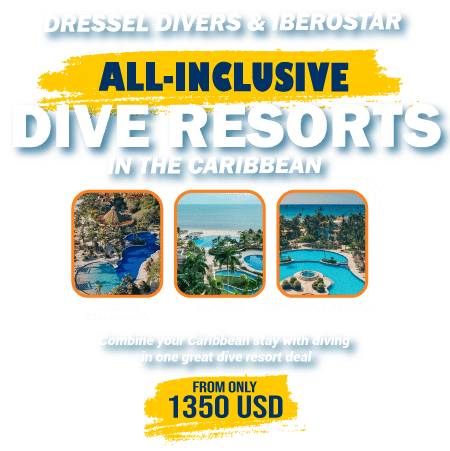 Quality DIVING & SNORKELING with Dressel Divers