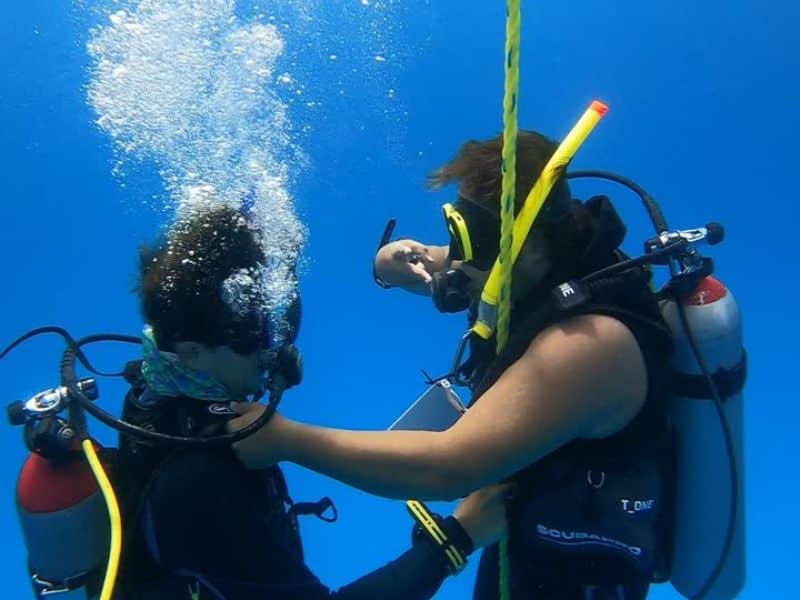 CESA in Scuba Diving: What It Is, How to Do It, and Why It Matters