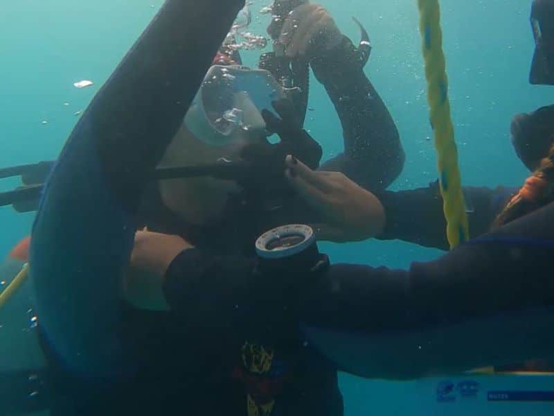 CESA in Scuba Diving: What It Is, How to Do It, and Why It Matters