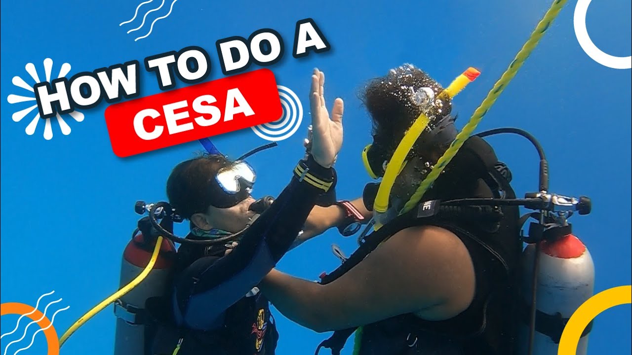 CESA in Scuba Diving: What It Is, How to Do It, and Why It Matters